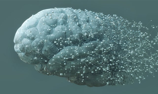 Understanding the Human System: The Five Domains of SOF Readiness