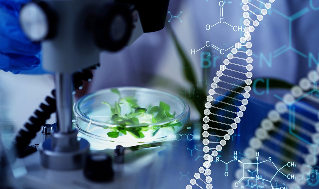 Rethinking Crop Protection Through Genomics and Bioinformatics