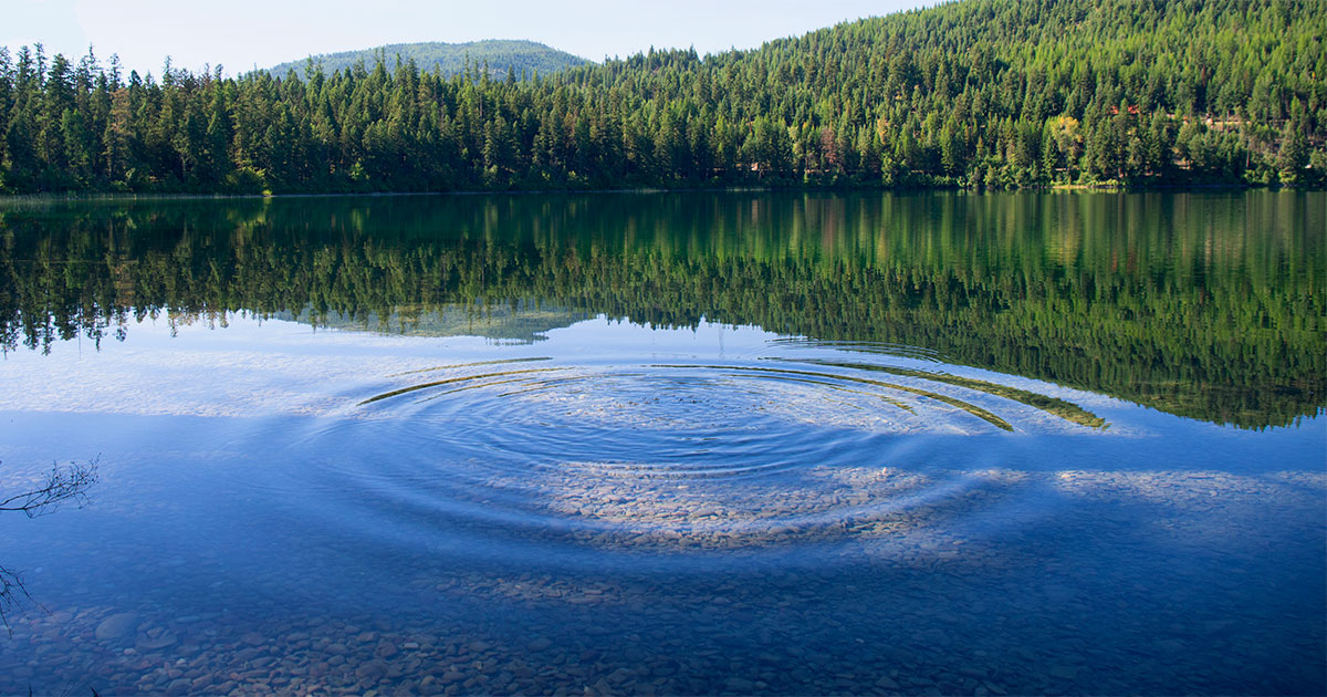 Phasing Out “Forever Chemicals”: Finding Alternatives for PFAS